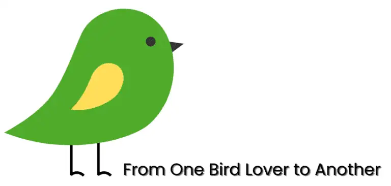 Is Cracked Corn Good for Birds? A Full Guide – birdingnow.com